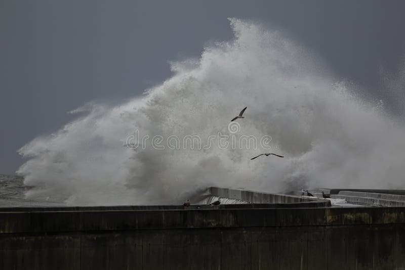 Seawall Splash stock image. Image of wall, force, pier - 19545185