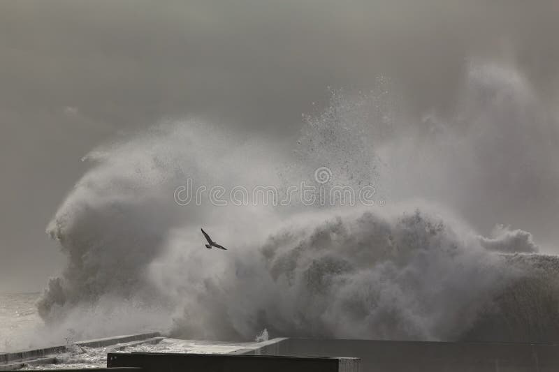 Big stormy wave splash stock photo. Image of huge, splash - 276321140