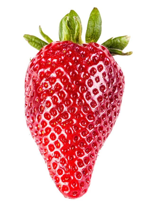 Big Strawberry stock image. Image of organic, shiny, isolated - 32712001
