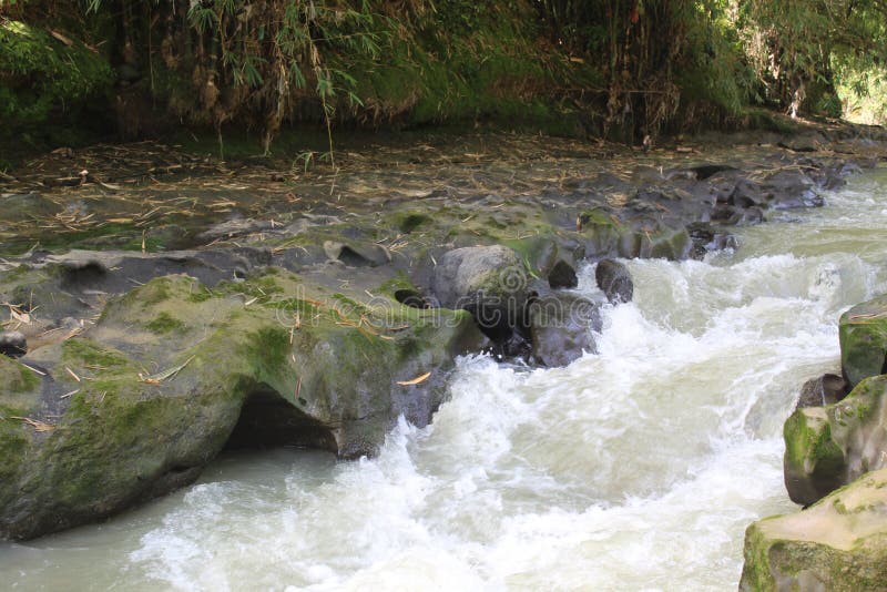 Water flow over mossy rock stock image. Image of scenic - 242279489