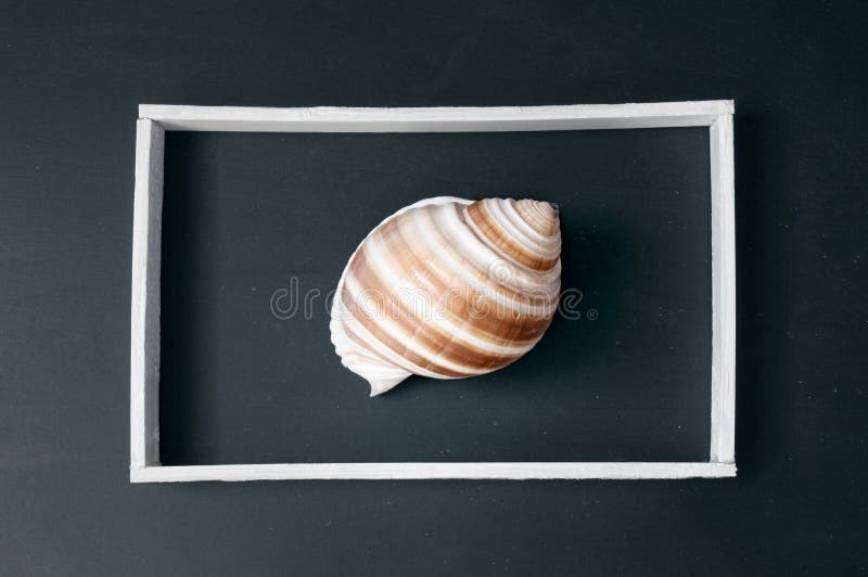 Bikinid60 - Photographer profile