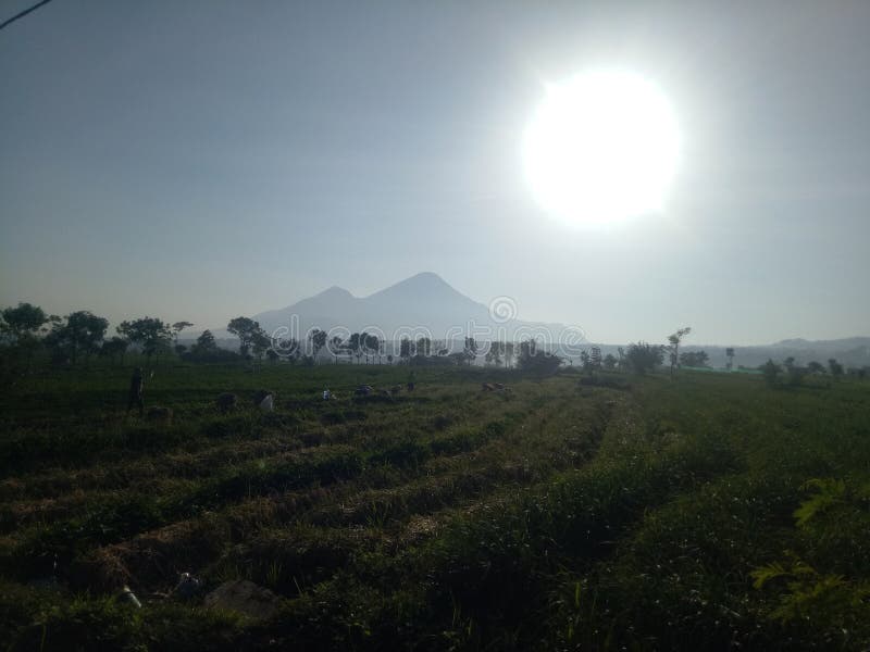 The big sun stock photo. Image of field, hill, mist - 206974428