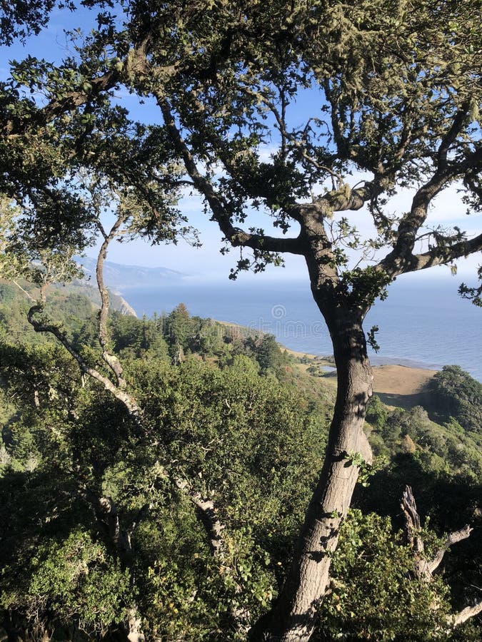 Big Sur California stock photo. Image of ocean, light - 122562508