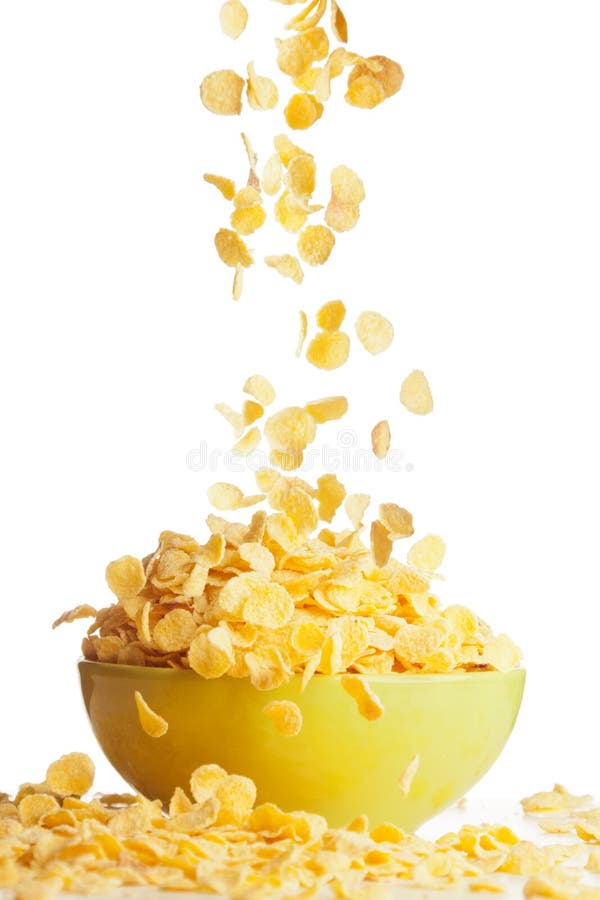 Corn flakes with milk stock photo. Image of drop, cornflakes - 24503010
