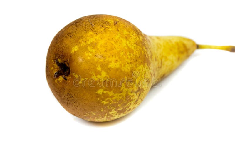 Big tasty pear isolated stock photo. Image of nutrition - 12073492