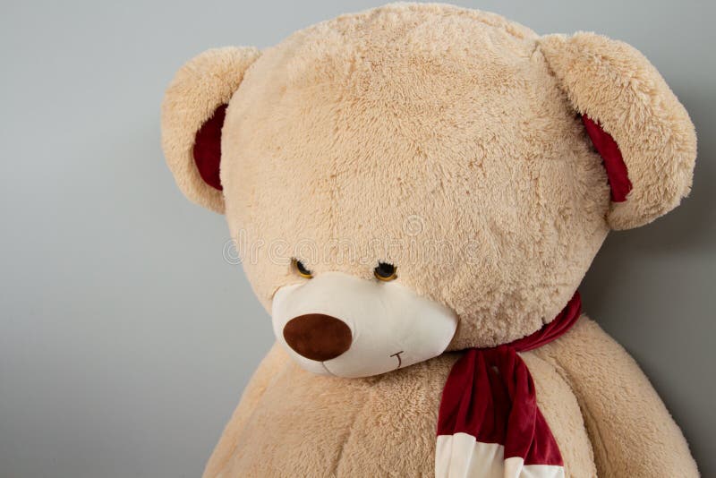 437 Side View Teddy Bear Stock Photos - Free & Royalty-Free Stock ...