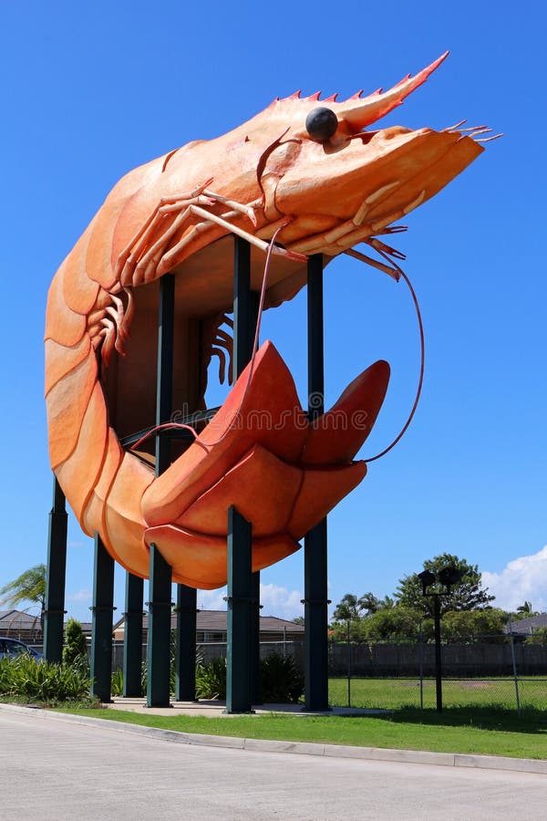 The Big Prawn, Ballina NSW, Australia Editorial Image - Image of ocean ...