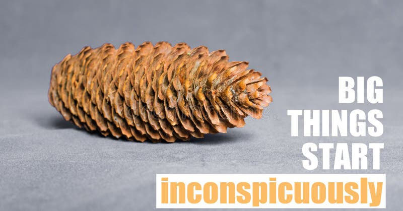 Inconspicuously Stock Photos - Free & Royalty-Free Stock Photos from ...