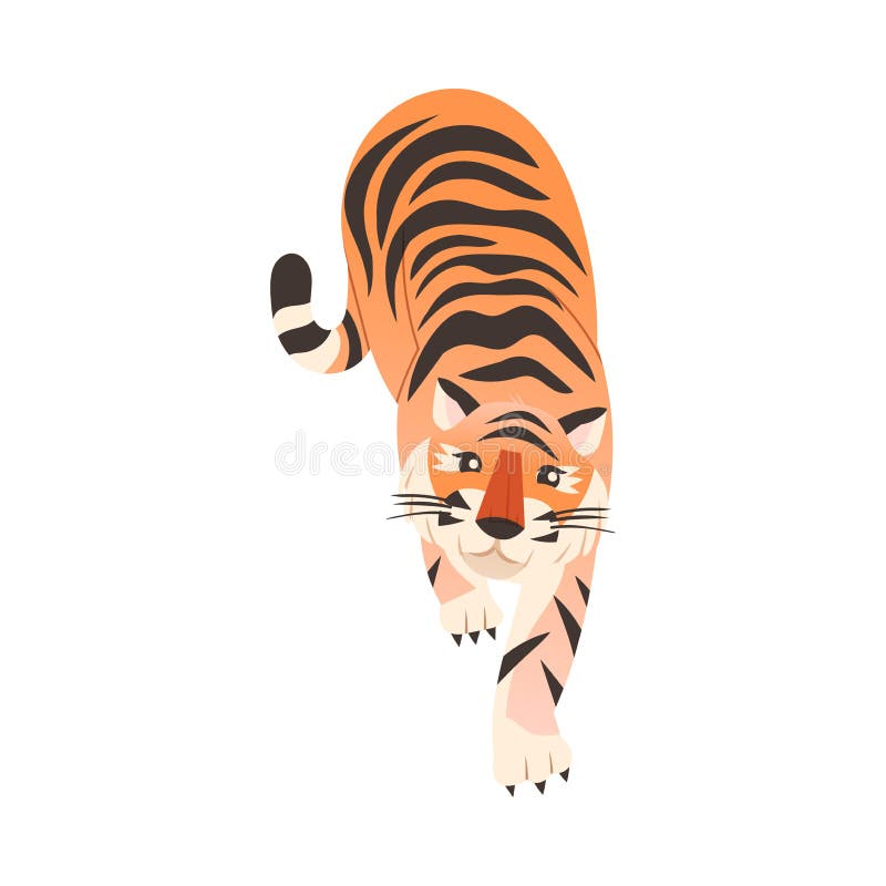 Big Tiger Wild Animal, Front View Vector Illustration Stock Vector ...