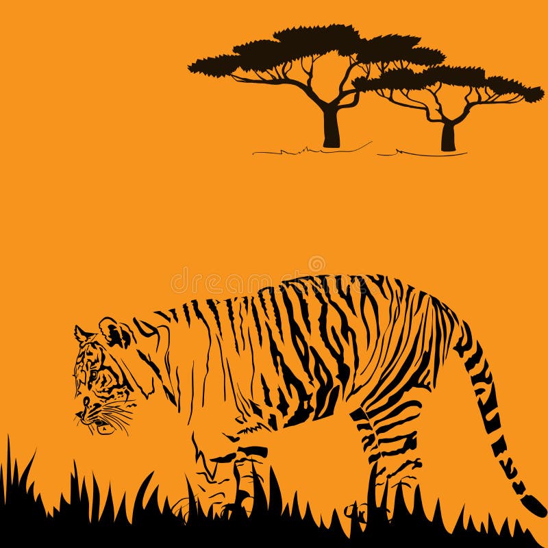 Big Tigger stock vector. Illustration of animals, orange - 50871638