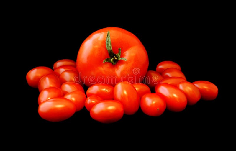 Big Tomato among Small Tomatoes. Stock Image - Image of competition ...