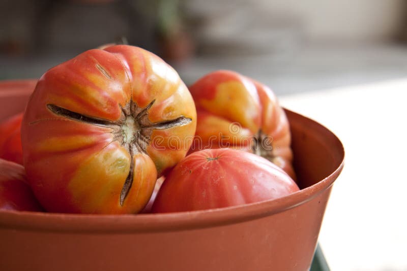 Big tomatoes stock image. Image of vegetables, bowl, juicy - 21178093