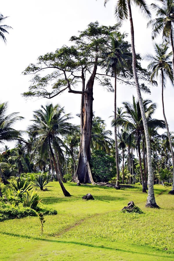Equator Beach stock photo. Image of pier, clouds, beauty - 7930684