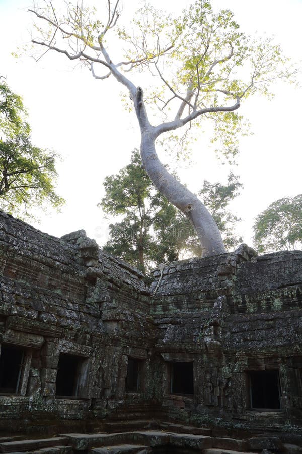 Angkor Wat Temple Wall Curving Stock Photo - Image of angle, hinduism ...