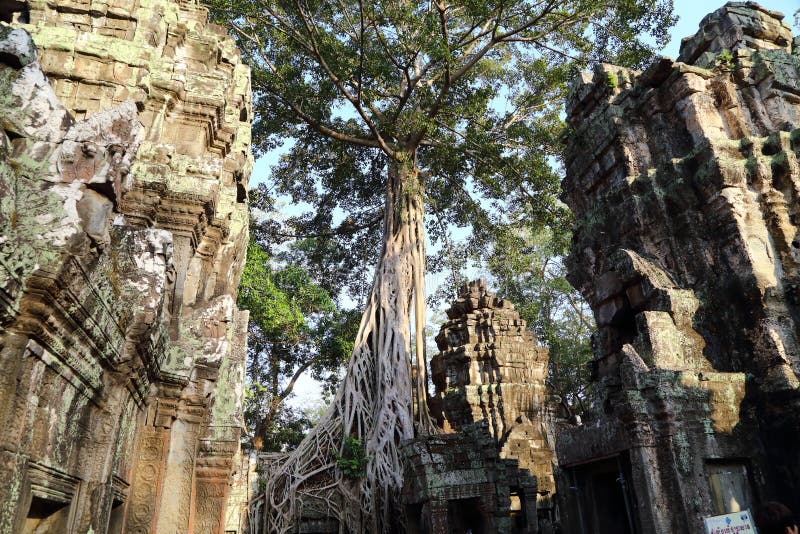 Angkor Wat Temple Wall Curving Stock Photo - Image of angle, hinduism ...