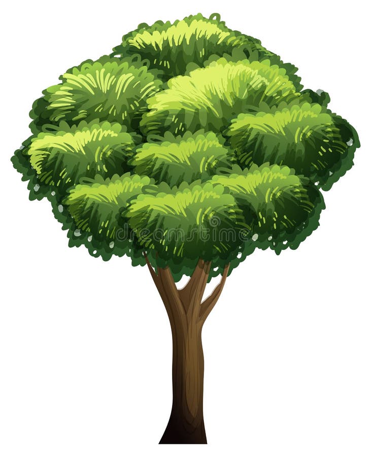 A big tree stock vector. Illustration of natural, green - 47456116