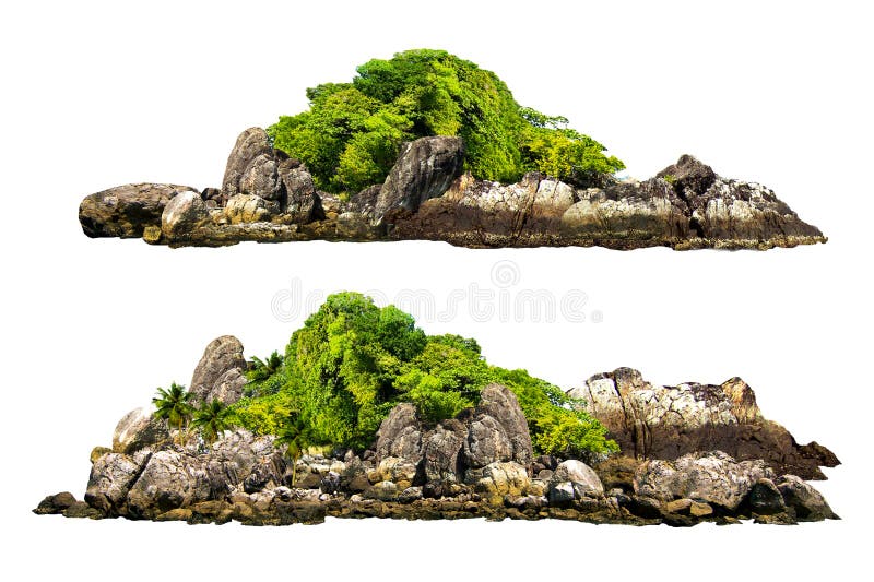 Big Tree with Beautiful Structure Isolate on White Background, Stock ...