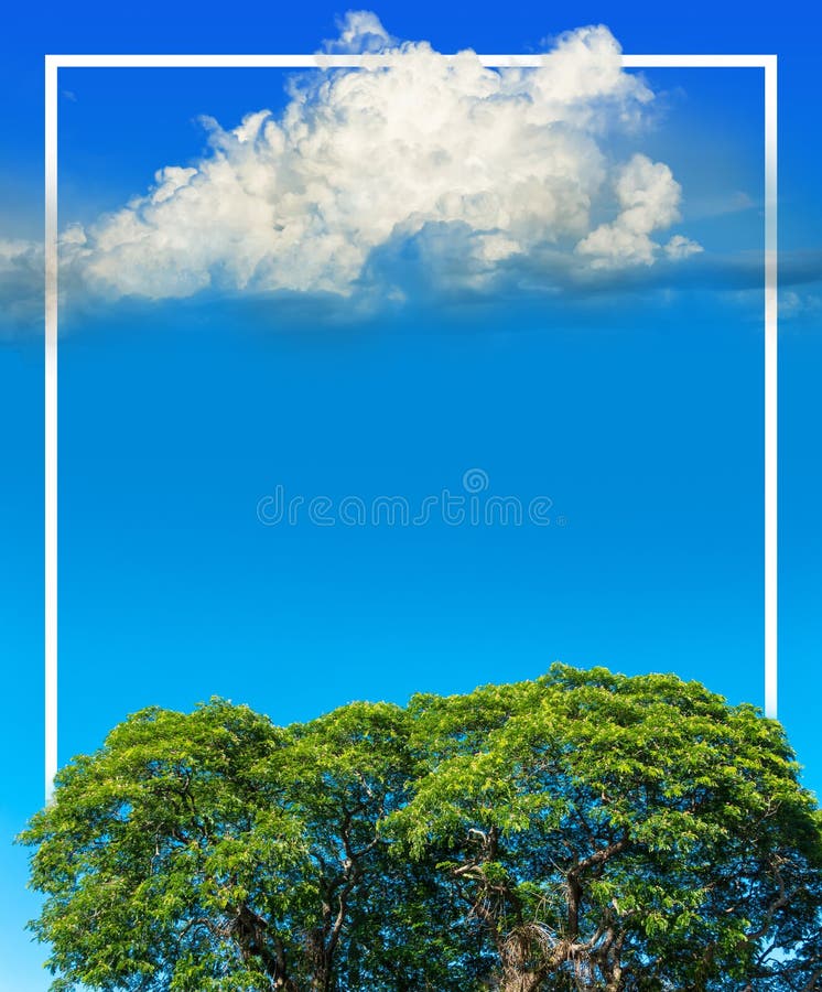Big Tree Branch and Big Cloud Stock Photo - Image of field, blue: 116091014
