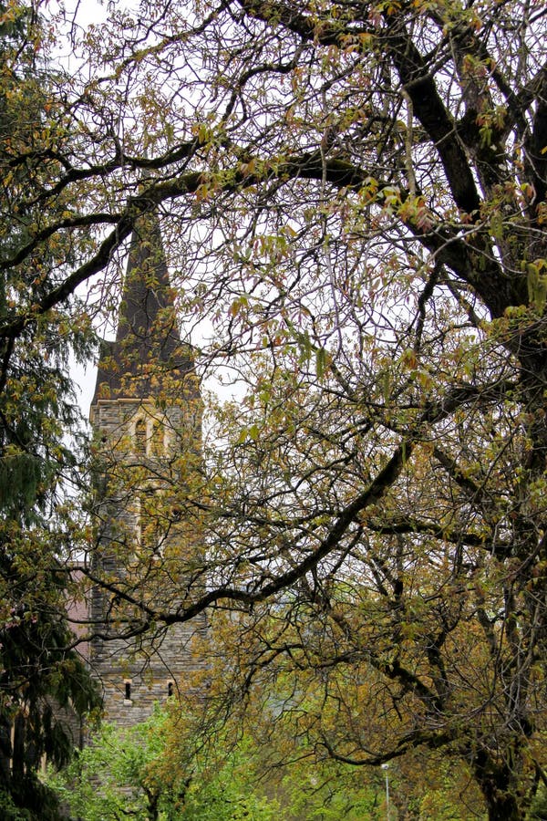 Oak Tree and Castle stock photo. Image of strong, peace - 4773086