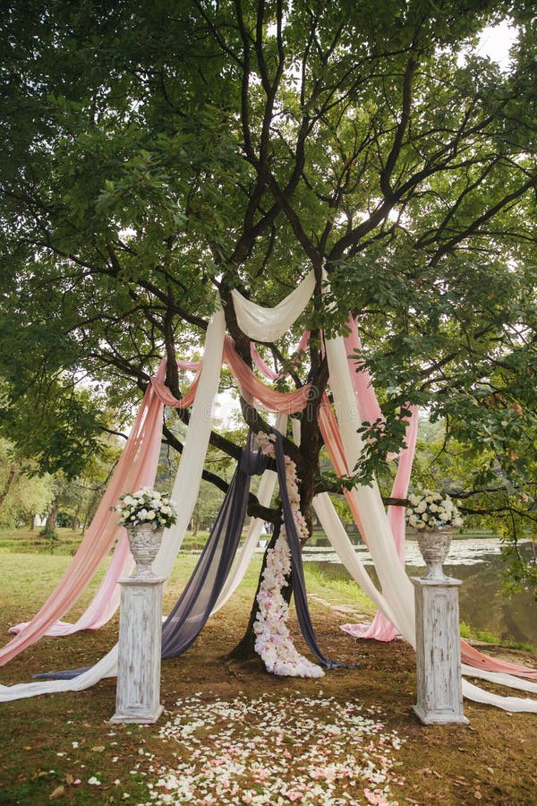 Big Tree Decorated for Wedding Ceremony Outside Stock Image - Image of ...