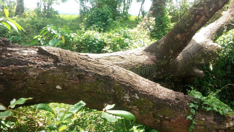 Eric Lacia (Ericlaci) - Photographer profile