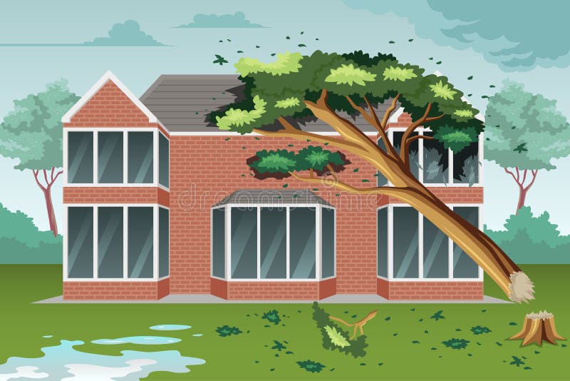 Big Tree Falling on a House Accident Vector Illustration Stock Vector ...