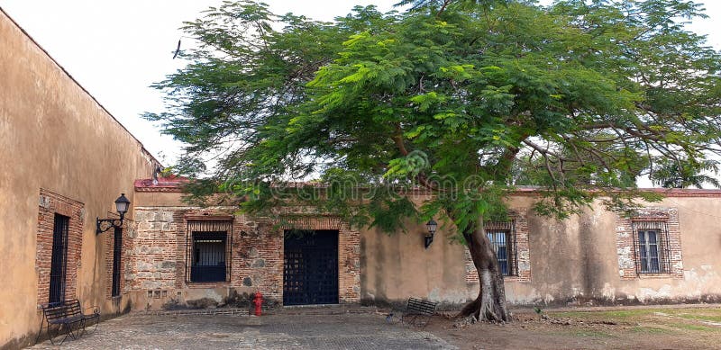 Big Tree in Front of Old Building Stock Image - Image of dominicana ...