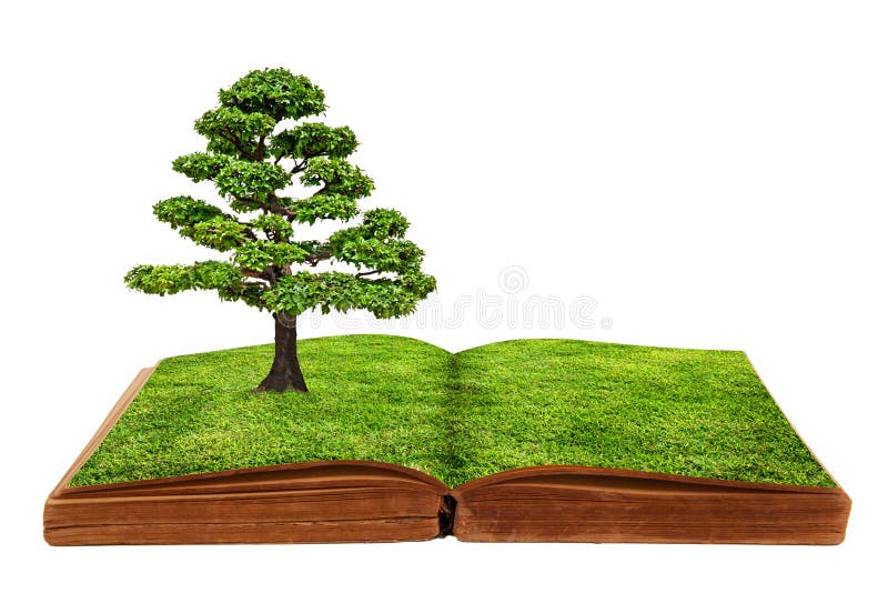 The Big Tree Growth from a Book Stock Image - Image of blank ...