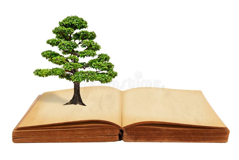 The Big Tree Growth from a Book Stock Image - Image of background ...