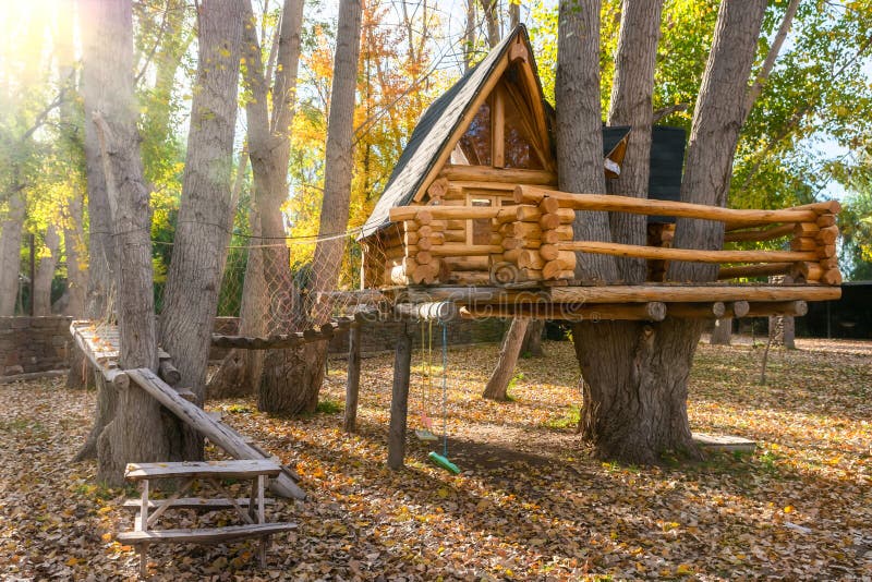 Big tree house in autumn stock image. Image of forest - 219103713
