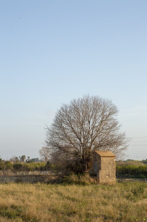 Big Tree without Leaves Next To Abandoned House Stock Photo - Image of ...