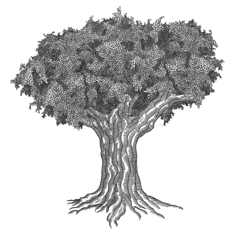 Big tree with leaves. stock illustration. Illustration of isolated ...
