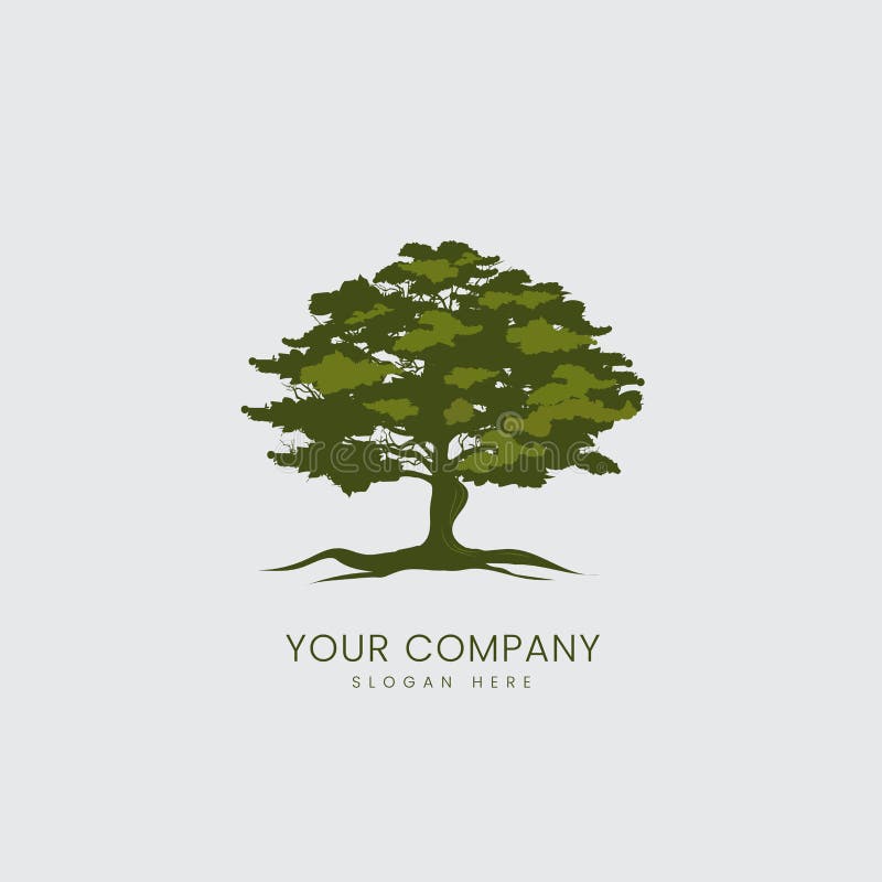 A Big Tree of Oak Logo Vector Design and Huge Isolated Tree Icon ...