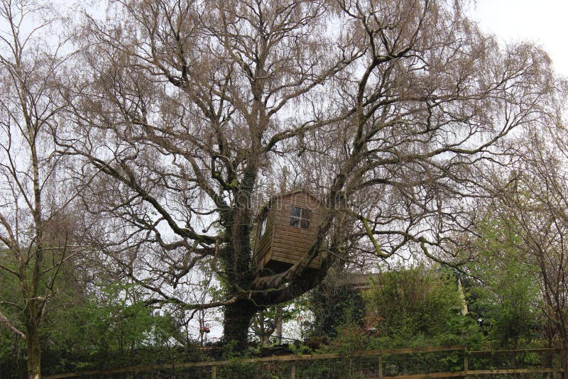 A Small House in the Deep of Forest Stock Photo - Image of national ...