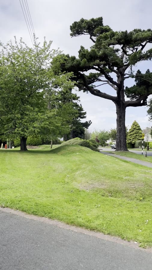 A Big Tree beside the Road. Stock Footage - Video of path, street ...