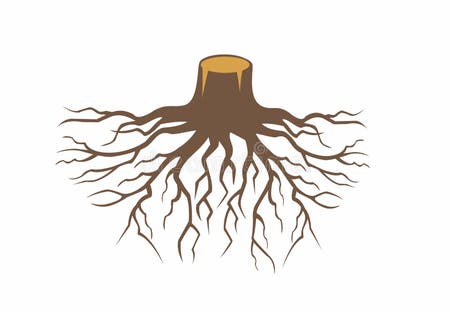 Big Tree Roots Hand Drawn Vector Stock Vector - Illustration of pattern ...