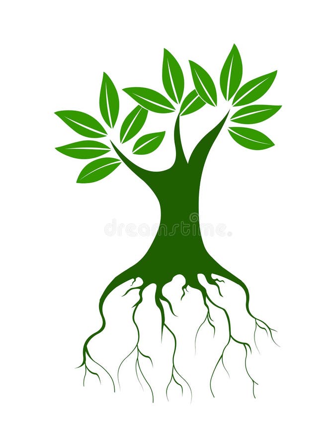 Big Tree Roots Logo Icon Vector Stock Vector - Illustration of isolated ...