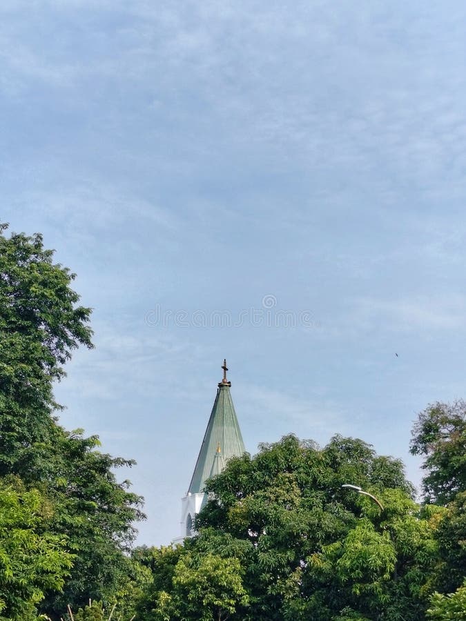 Big Tree with a View of the Church in Early Spring, through the Green ...