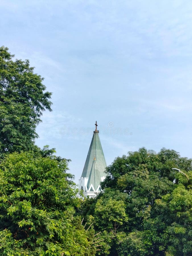 Oak Trees in the Park at Autumn Morning Stock Image - Image of seasonal ...