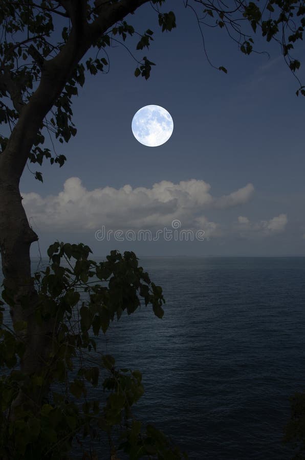 2,027 Big Bright Full Moon Stock Photos - Free & Royalty-Free Stock Photos from Dreamstime