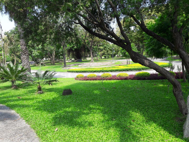 Big Trees and Gardens in the Garden Stock Photo - Image of trees ...
