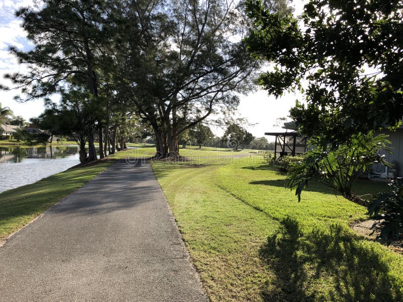 Big trees on a golf course stock photo. Image of foliage - 109196220