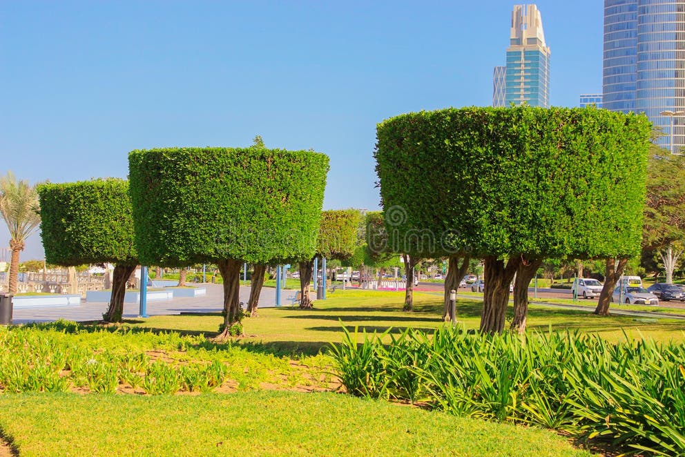 Big Trees and Landscape with Beautiful Building Stock Photo - Image of ...