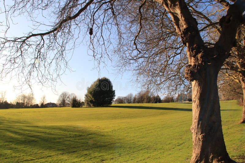 Big Trees in the Meadow in Bath Stock Photo - Image of kingdom, pathway ...
