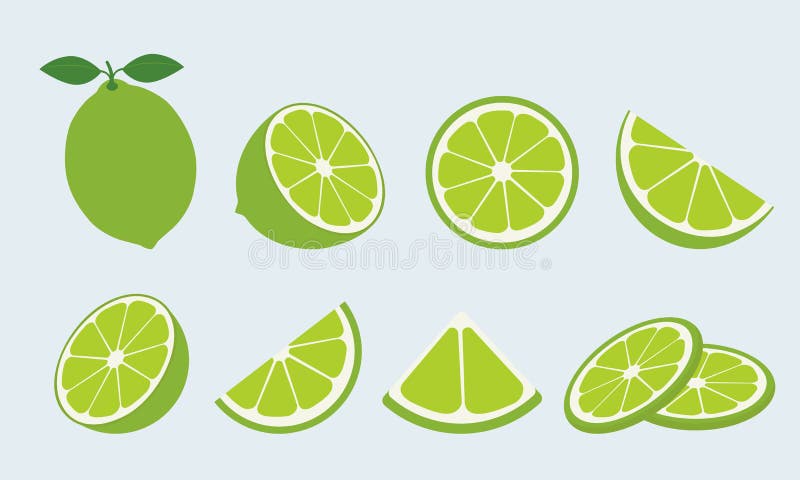 Big Vecto Set of Fresh Limes. Lime Fruit Isolated on Blue Background ...