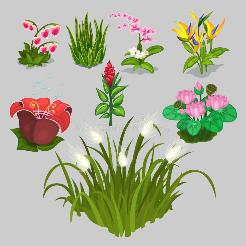 Big Vector Collection of Different Flowers Stock Vector - Illustration ...
