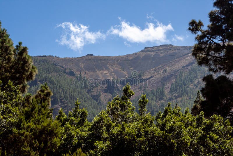 Big View To the Mountain Over a Forest Stock Photo - Image of ...