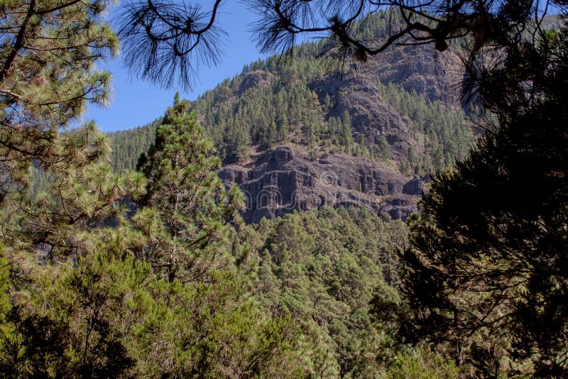 Big View To the Mountain Over a Forest Stock Photo - Image of hills ...