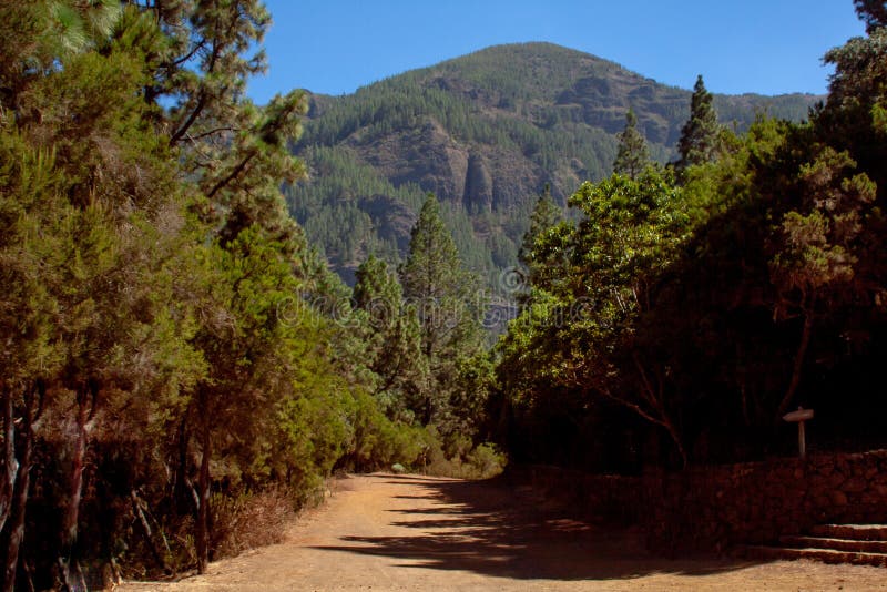 Big View To the Mountain Over a Way Stock Photo - Image of light, scene ...