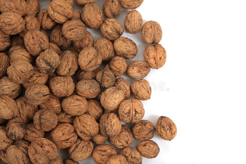 Big wallnuts isolated stock image. Image of health, nutshell - 156452137